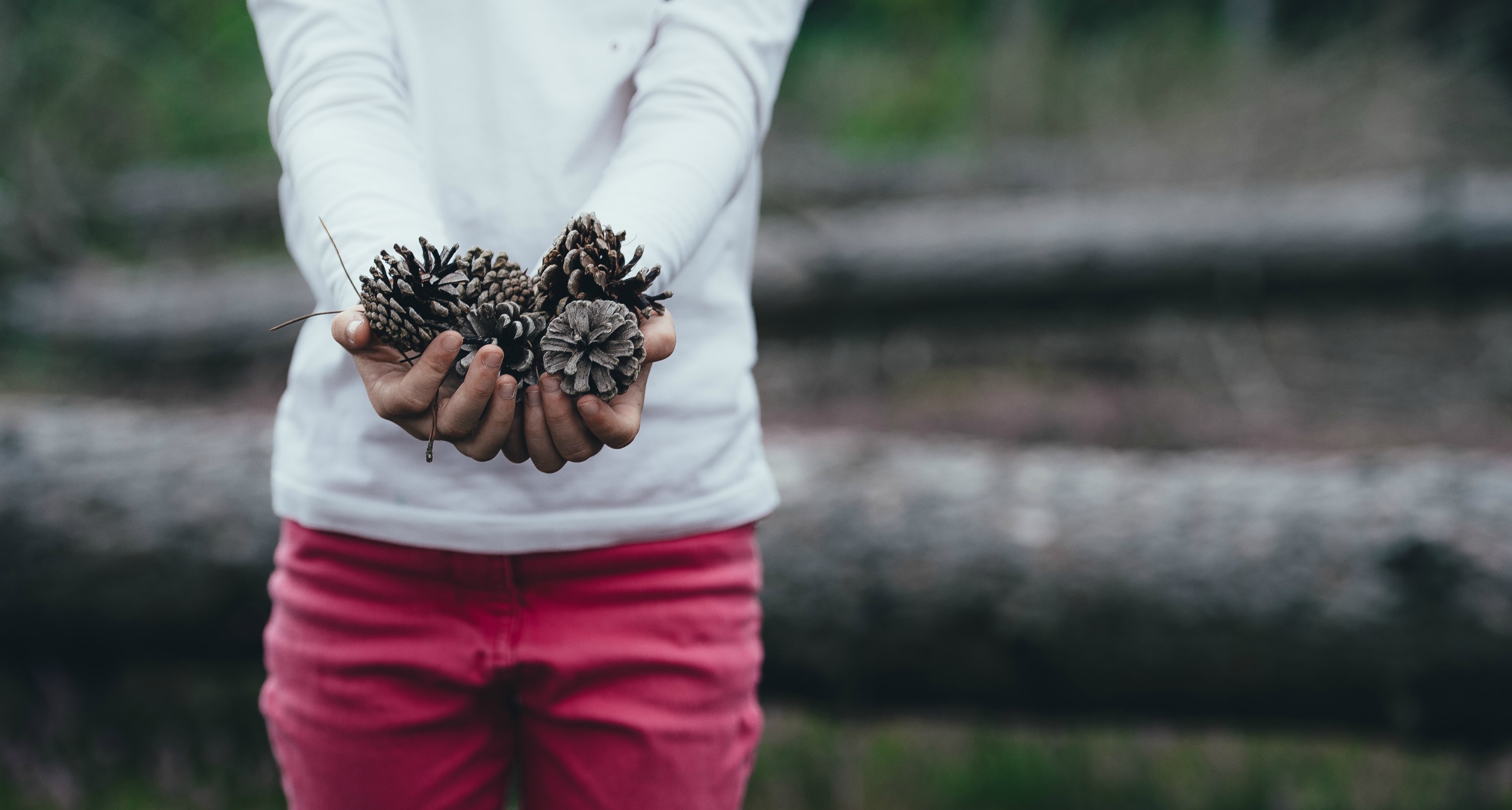 A Free 7-Day Simplifying Childhood Challenge - Raised Good